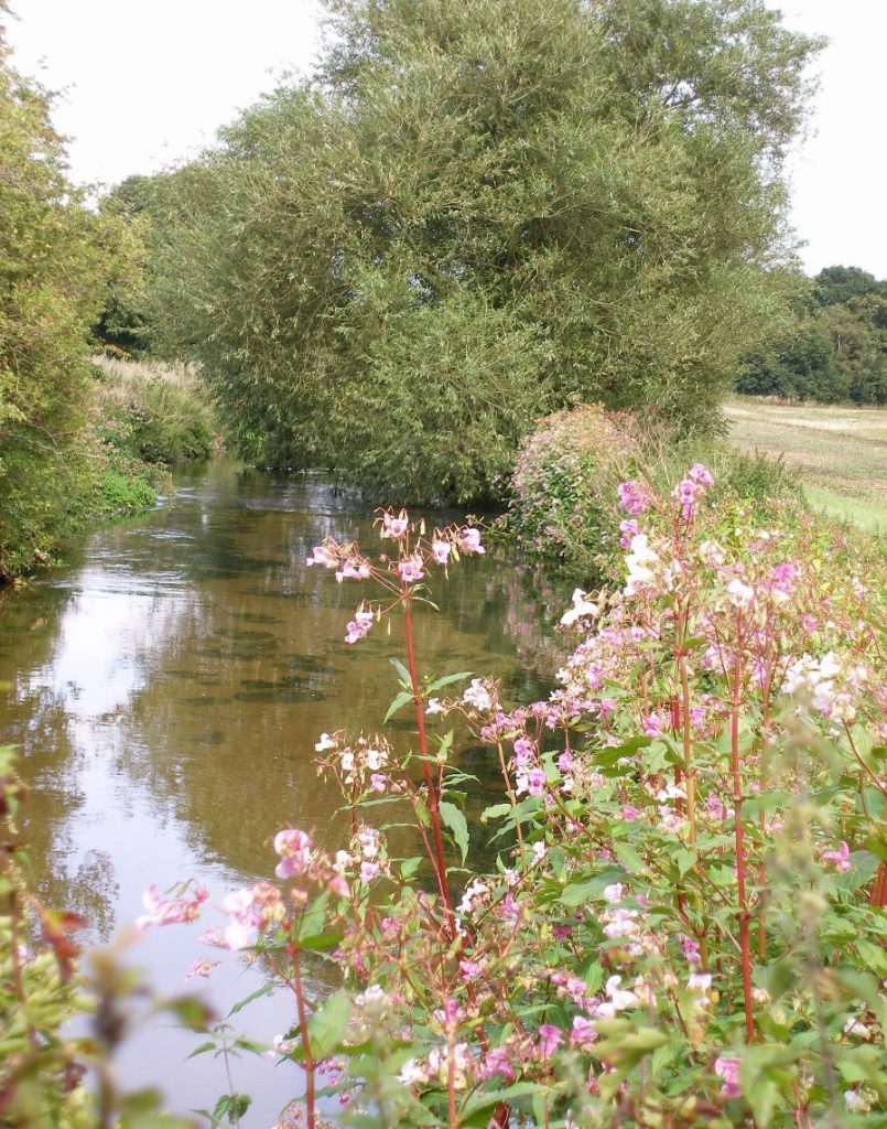 River Maun - Edwinstowe Historical Society