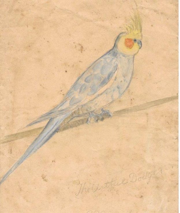 Cockglode House - Edwinstowe Historical Society